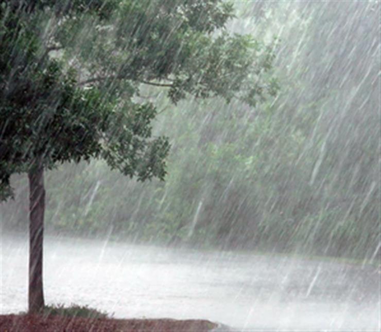 Imd Issues Yellow Alert For Seven Districts In Kerala